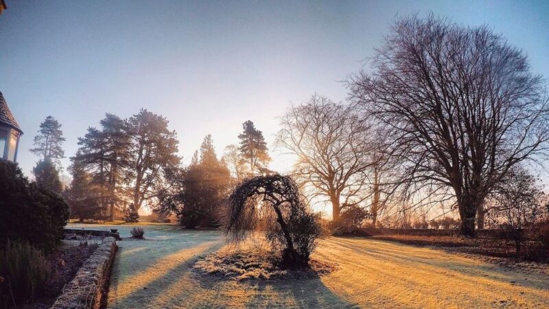 What to do in your garden in January - Garden Machinery Direct